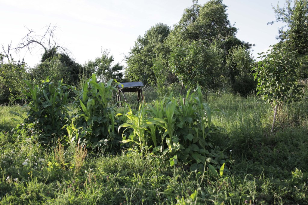 jardin-forêt les blaireautins